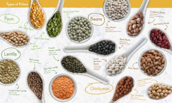 Canadian Pulses – MAGlobal Corp