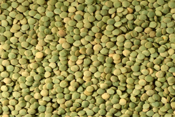 Canadian Pulses – MAGlobal Corp